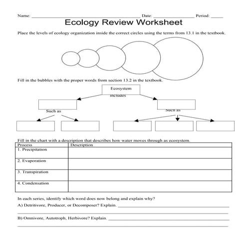 Ecosystem Review Worksheet Importance Of Biodiversity In Ecosystems