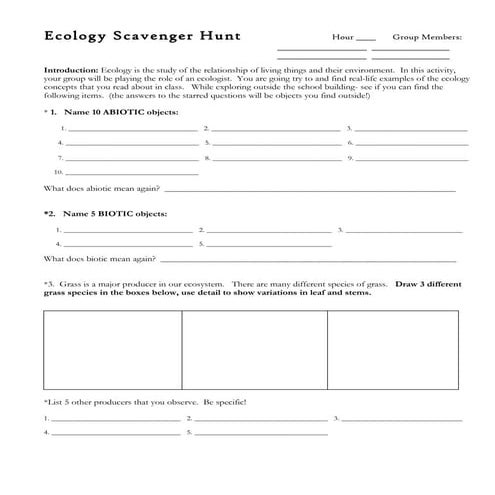 Ecology scavengerhunt activity | PDF