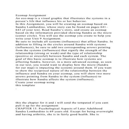 Ecomap AssignmentAn eco-map is a visual graphic that illustrates t.docx