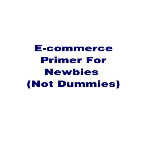 E-commerce Primer For Newbies (Not Dummies) | PDF