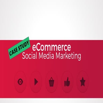 Ecommerce Social Media Marketing Case Study | PDF
