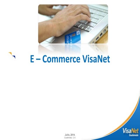 E commerce visa net cybersource | PDF