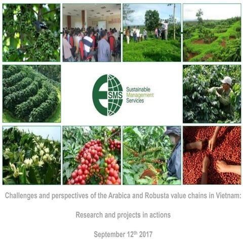 Challenges and perspectives of the Arabica and Robusta value chains in Vietnam: Research and ...