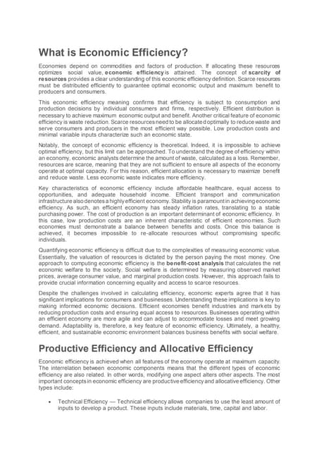 Efficiency | PDF | Large Business | Business