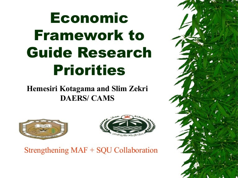 Economic framework to guide research priorities
