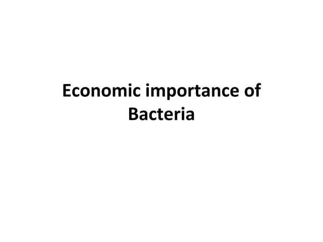 Economic importance of bacteria | PPTX
