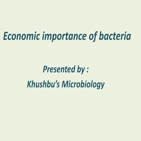 Economic importance of bacteria | PPTX