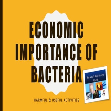 Economic importance of bacteria | PPTX