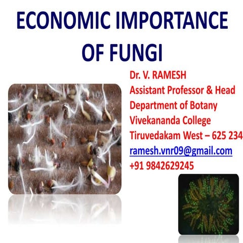 Economic importance of fungi | PPTX