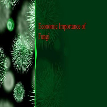 Economic Importance of Fungi.pptx