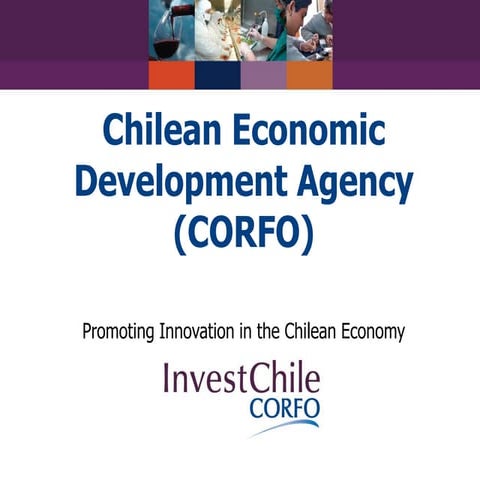 Economic Perspectives In Chile | PPSX