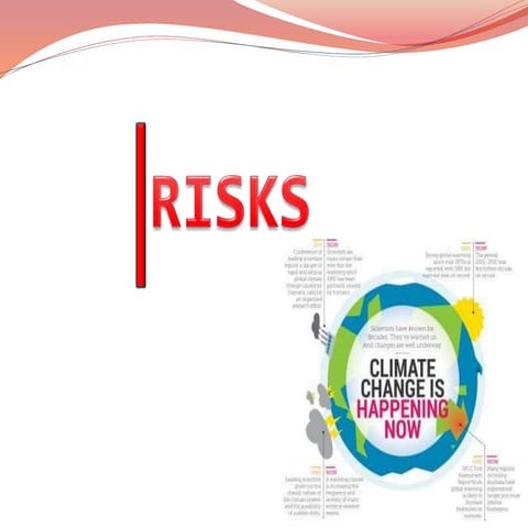 Risks with Environmental Economics | PPT
