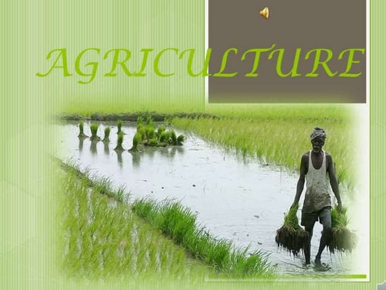 Agriculture and non agriculture sectors of economy | PPTX | Agriculture ...