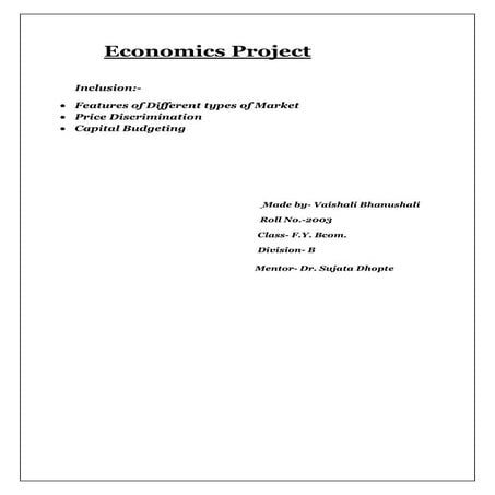 Economics project/questions | DOCX