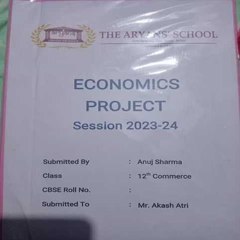 Economics Project (Food supply channel in India).pdf