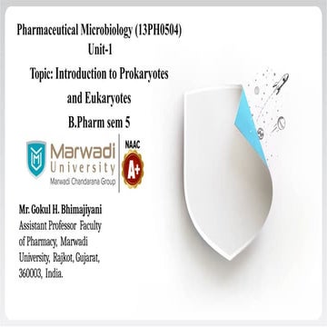 EContent_11_2024_09_13_19_47_18 ...