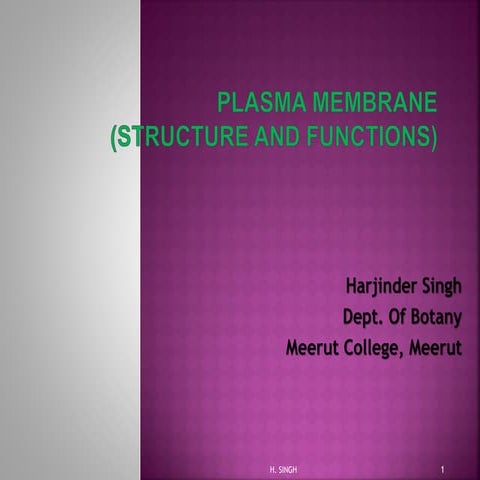 Plasma Membrane (Structure and Functions) | PDF
