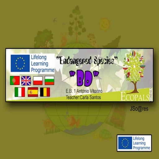 Ecopals bd - Teacher Carla Santos | PDF