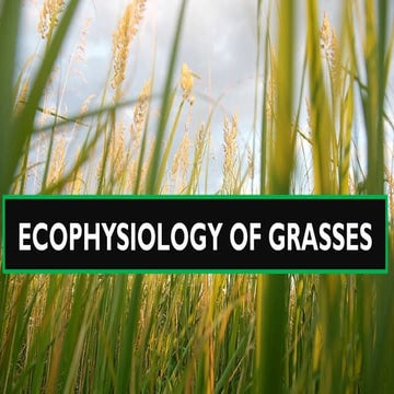 AGROSTOLOGY introduction Lecture 1 and 2.pdf
