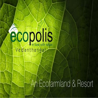 Ecopolis ppt | PDF