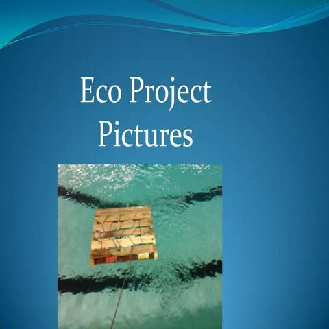 Eco project pictures | PPTX