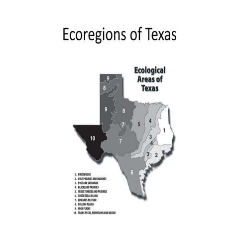 Ecoregions of texas | PPTX