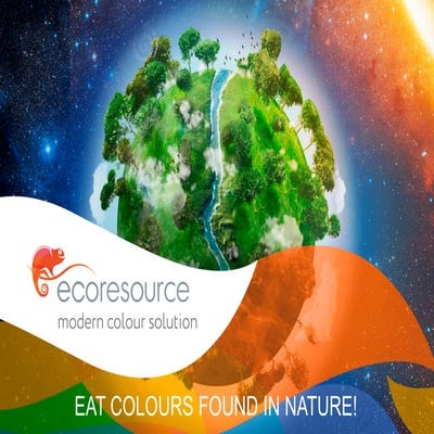 Eco resource English Presentation | PDF