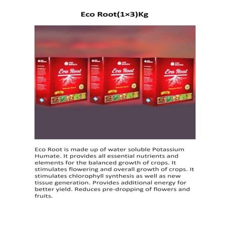 Eco Root(1×3)Kg.pdf