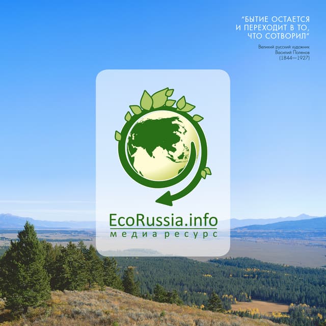 EcoRussia.info | Business | Business and Finance