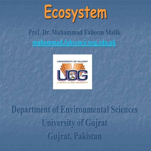 Eco seminar | PPT