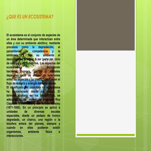 ¿CUÁL ES EL ECOSISTEMA EN MI REGIÓN.ppt? | PPTX