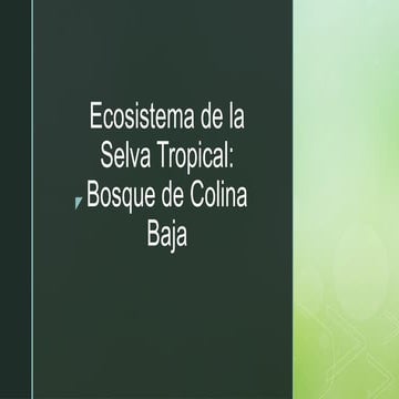 Ecosistema de la Selva Tropical Bosque de Colina Baja | PPTX