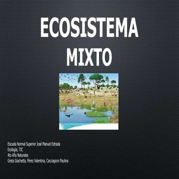 Ecosistema Mixto. Cacciagioni, Giachetta y Pérez. | PPTX