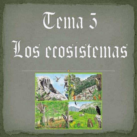 Ecosistemas | PPTX | Science