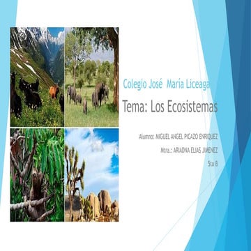 Ecosistemas | PPTX