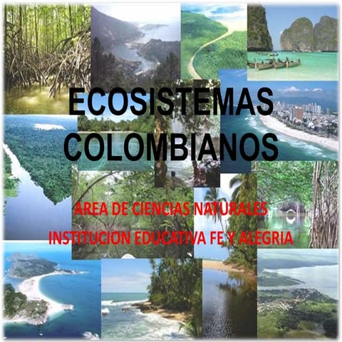 Ecosistemas De Colombia Colombia: La Guardiana De Especies Y