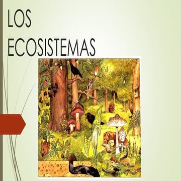 Individuo, especie, población, comunidad y ecosistema | PPTX