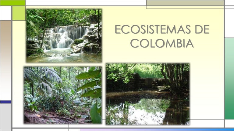 Ecosistemas De Colombia ECOSISTEMAS DE COLOMBIA GRADO 3 YouTube