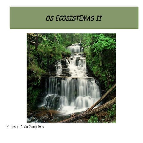 Observar é Aprender | PPTX