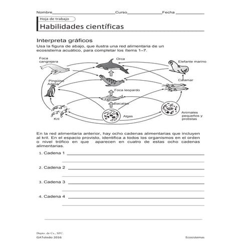 Redes y pirámides tróficas | PDF