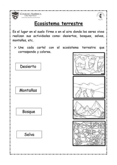 Sopa De Letras De Ecosistema Para Imprimir Sociales Utilizando Las TIC
