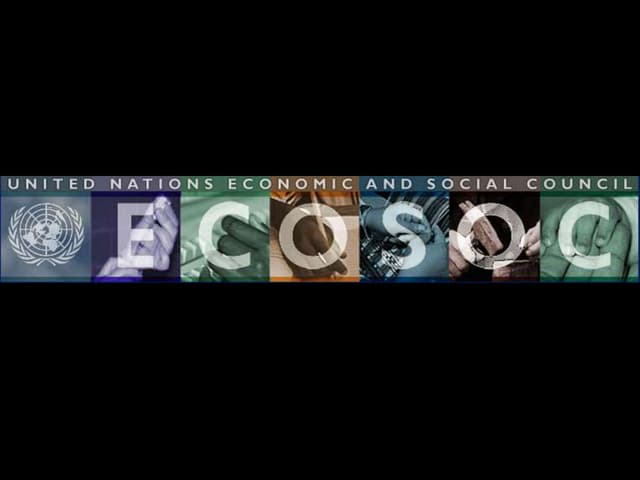 Economic And Social Council Logo