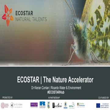 NATURE-ACCELERATOR | DEMO DAY 2018: Alessandro Leonardi pitch | PPTX