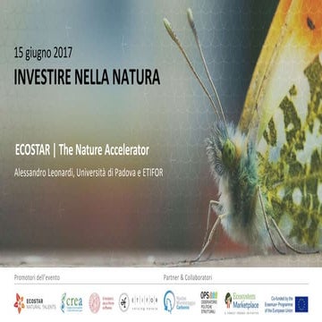 ECOSTAR Natural Talents | INVESTIRE NELLA NATURA | PPTX