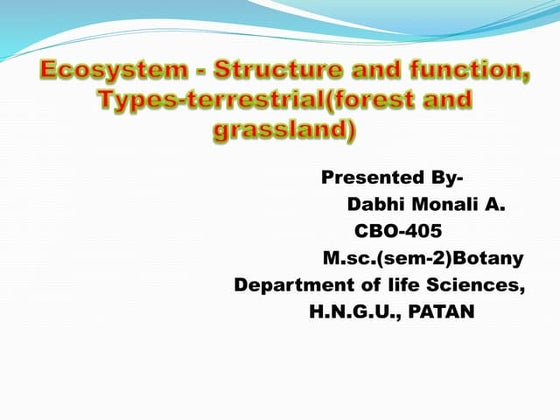 Ecosystem:Structure and Function | PPT