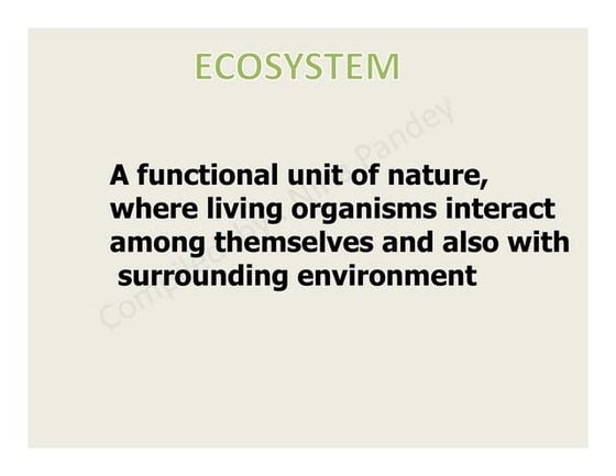 Ecosystem:Structure and Function | PPTX
