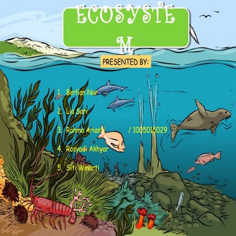 Ecosystem | PPT