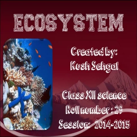 Ecosystem | class 12 | cbse | PPT