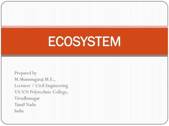 Ecosystem:Structure and Function | PPT
