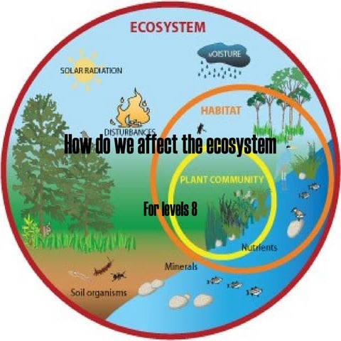 Ecosystem | PPT